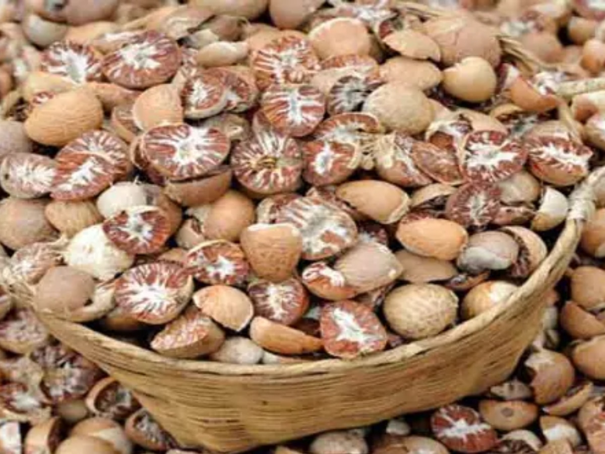 Supari Benefits for mouth ulcers arthritis in hindi how to get rid of ...