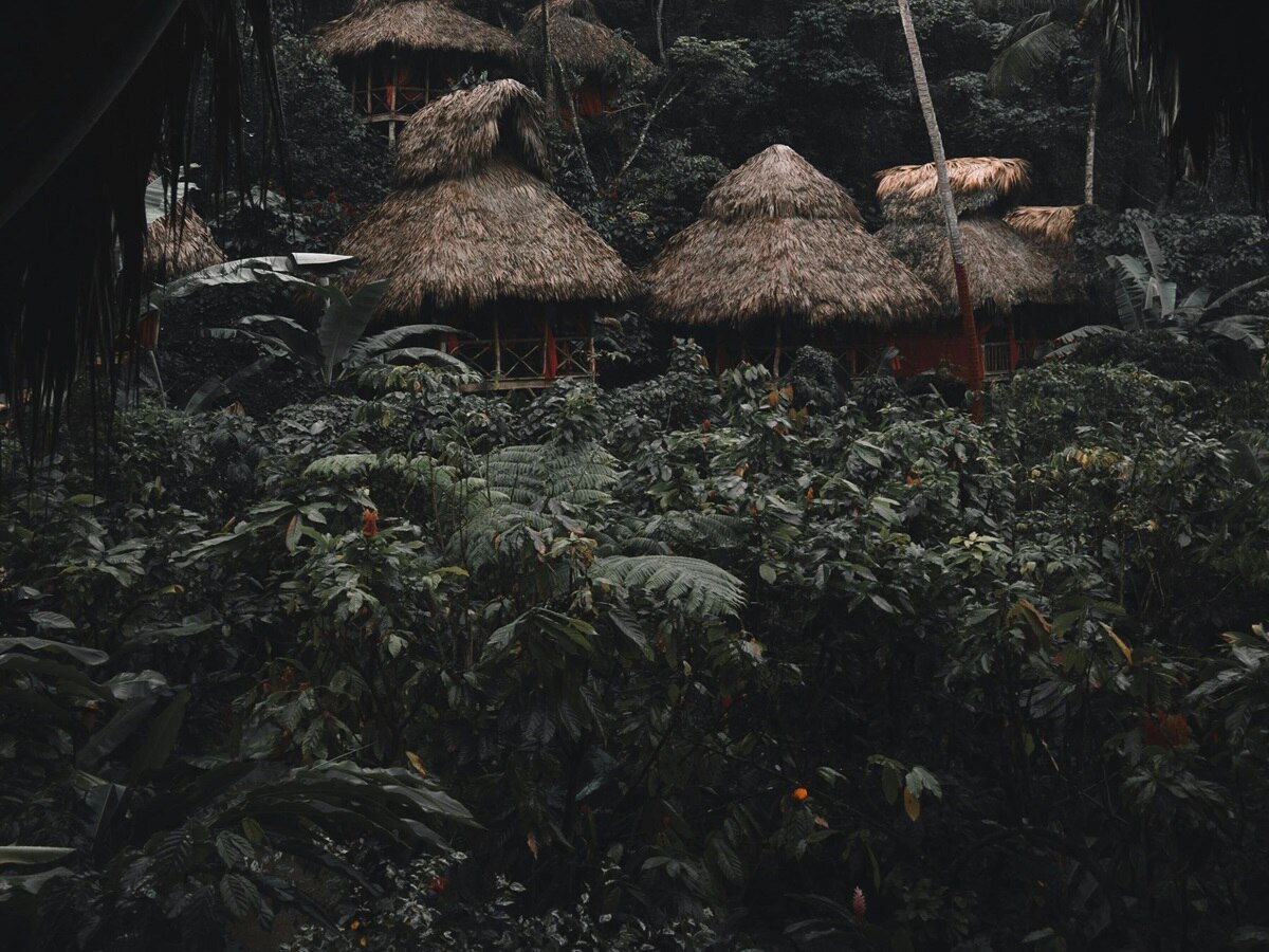 Snakes Village: ଭାରତର ଏହି ସ୍ଥାନରେ ଲୋକଙ୍କ ବେଡରେ ଶୋଇଥାନ୍ତି ସାପ, ପ୍ରତ୍ୟେକ ...