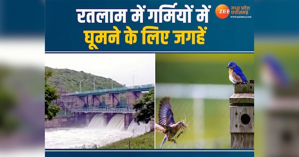 Ratlam Places to visit in summer Kharmour Bird Sanctuary Cactus Garden ...