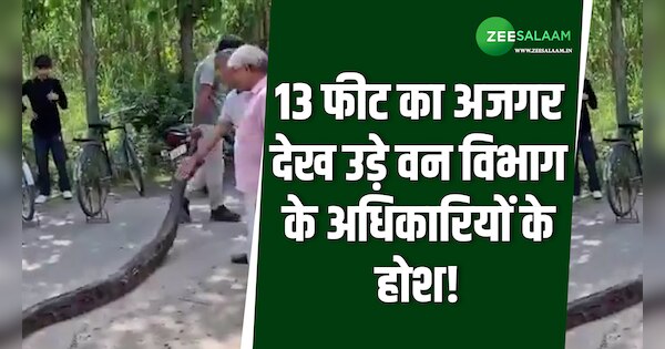 13 Foot Python Found in Haridwar villagers shocked to see