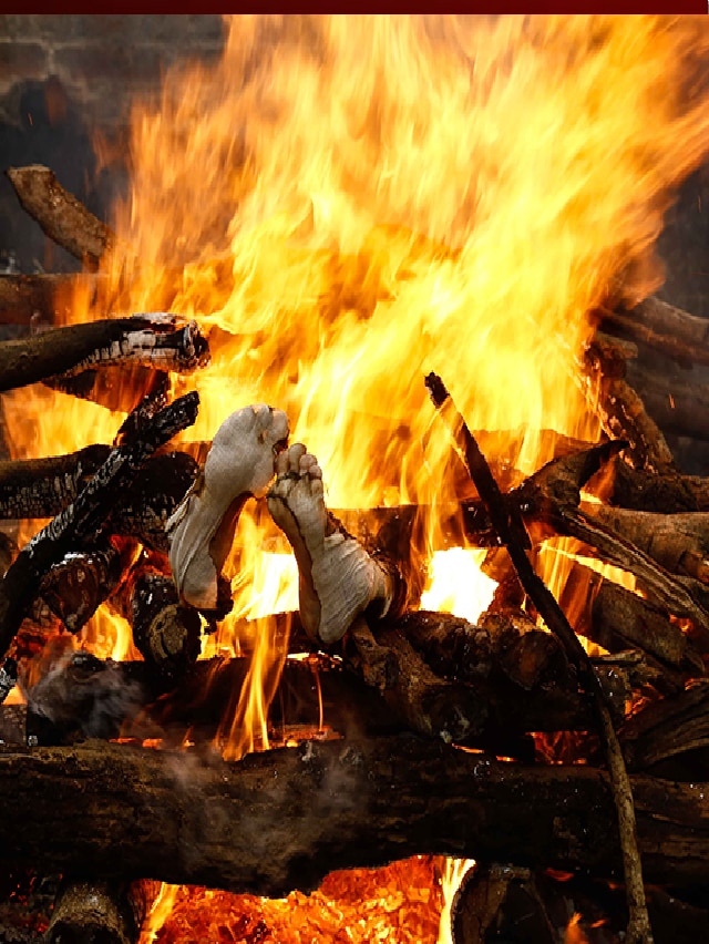 human body part that not even burn in fire teeth are considered the ...