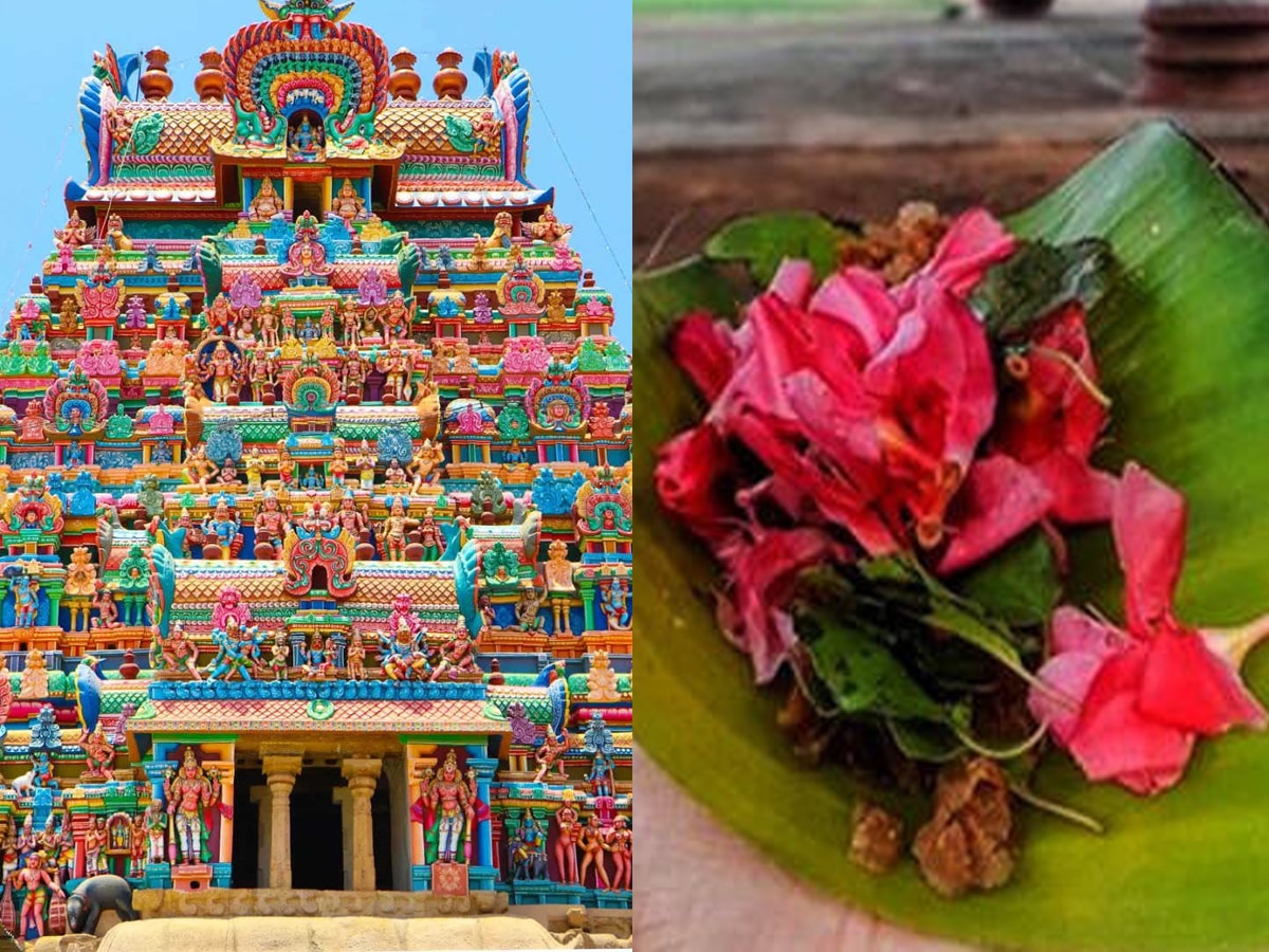 Kerala Temples: इस राज्‍य के मंदिरों में अब नहीं चढ़ेंगे ये फूल, बन रहे ...