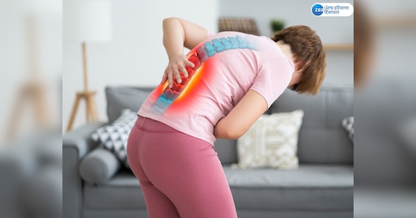 Reed Ki Haddi mei dard Back pain Spinal cord Treatment and Symptoms ...