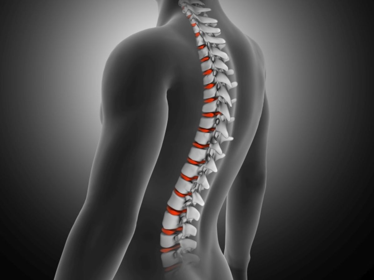 Reed Ki Haddi mei dard Back pain Spinal cord Treatment and Symptoms ...