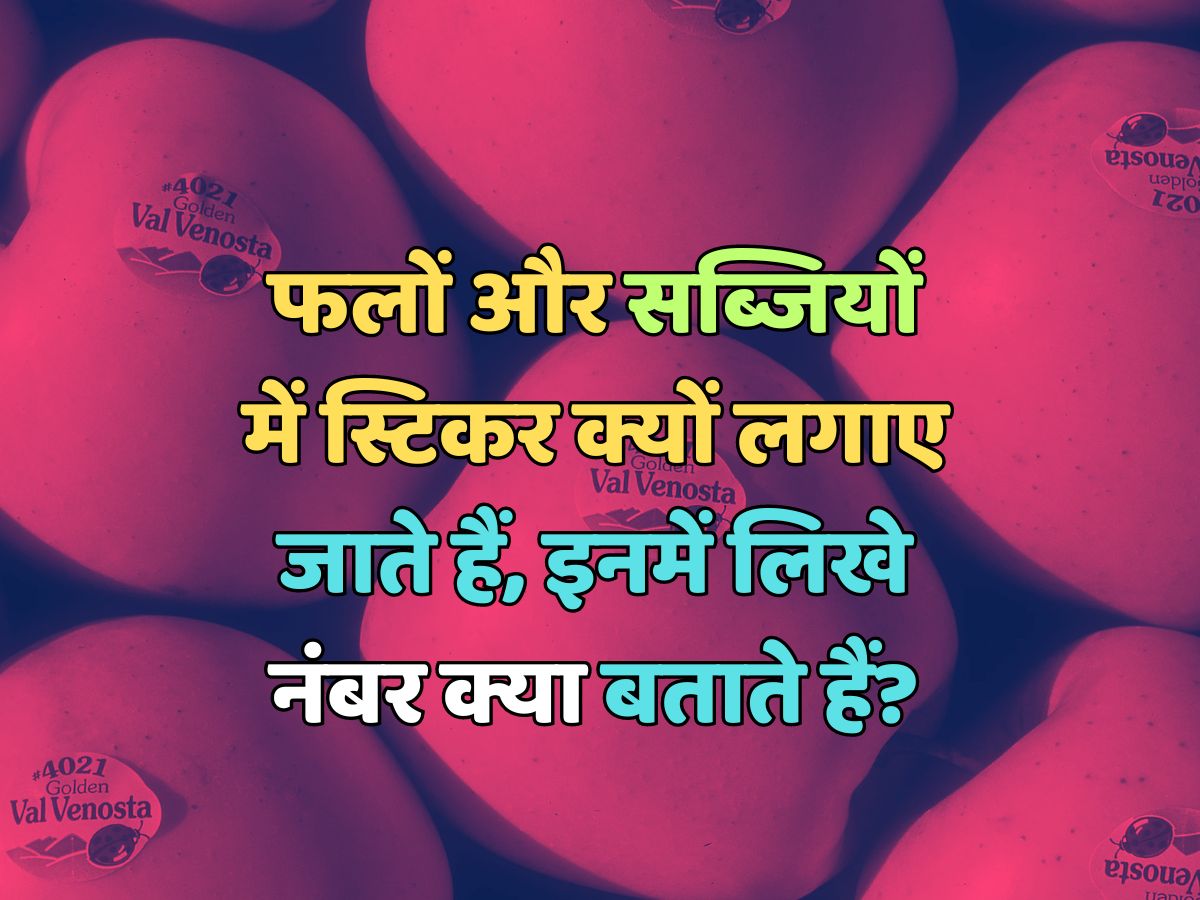 Trending Quiz फलों और सब्जियों में स्टिकर क्यों लगाए जाते हैं इनमें