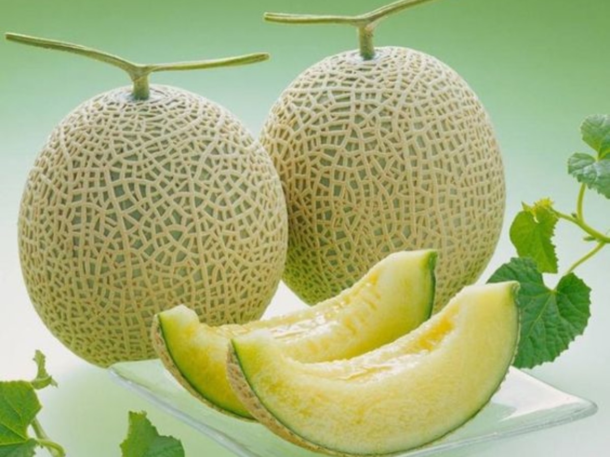 Benefits of eating musk melon in the morning | रोजाना सुबह खरबूजा खाने ...