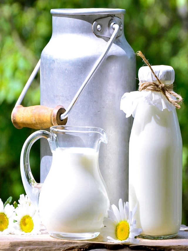 World Milk Day: दूध उत्पादन में ये है मध्य प्रदेश की रैंकिंग। milk ...