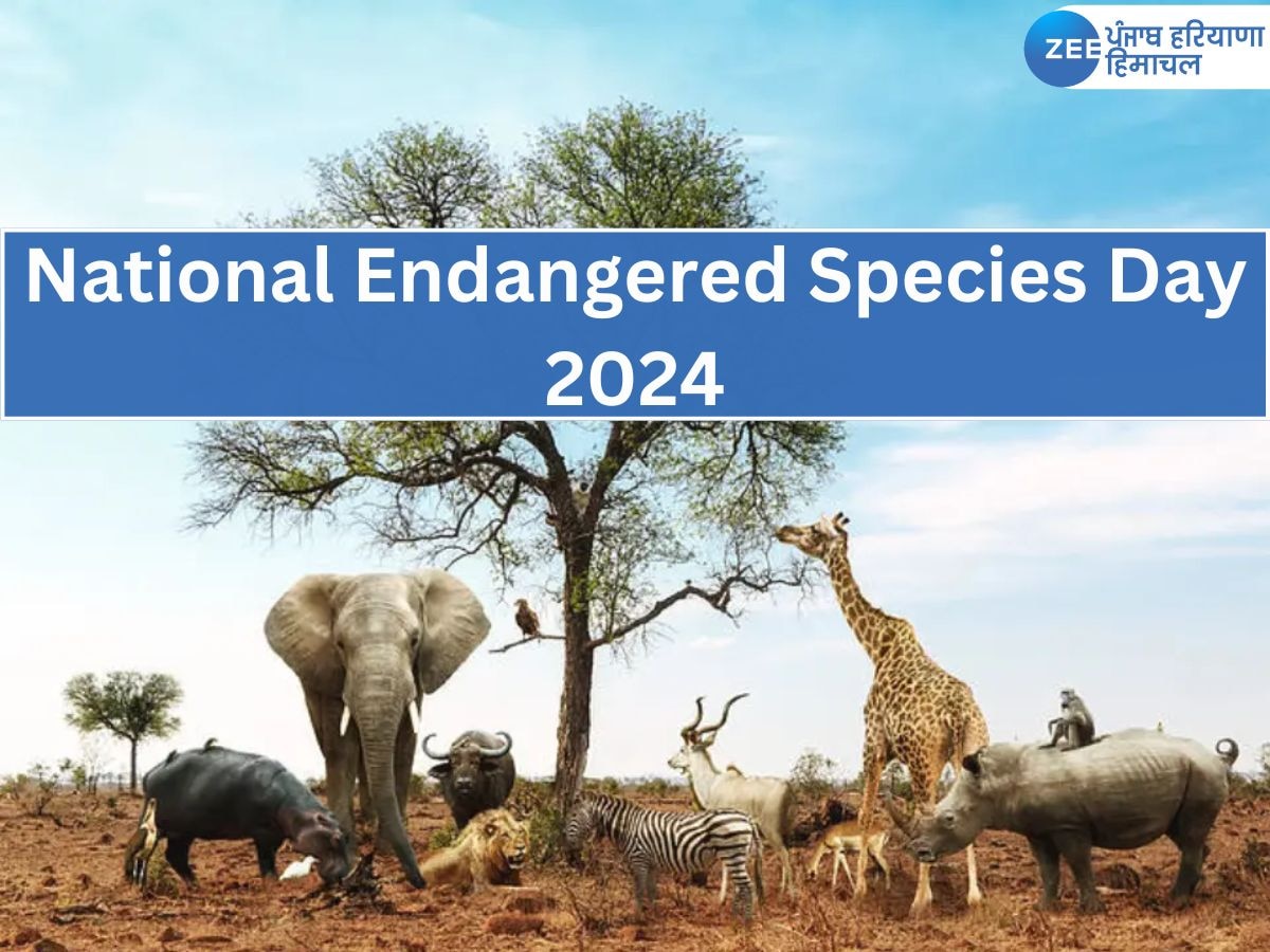 National Endangered Species Day 2024 date theme history and endangered ...