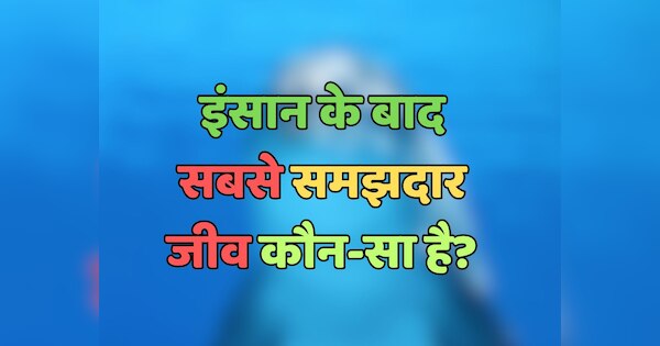 Trending Quiz इंसान के बाद सबसे समझदार जीव कौन सा है Trending Quiz