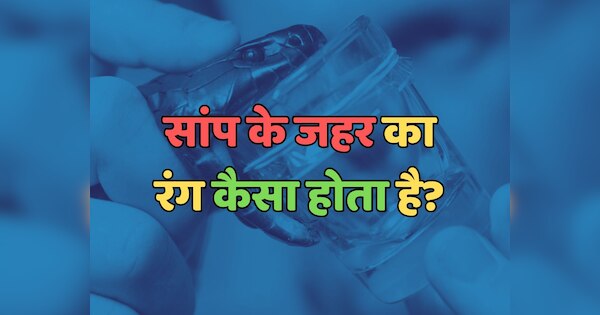 Trending Quiz सांप के जहर का रंग कैसा होता है Trending Quiz