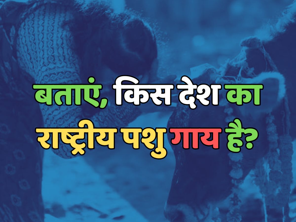 Trending Quiz किस देश का राष्ट्रीय पशु गाय है Trending Quiz