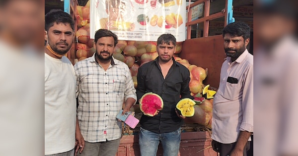 Haryana Agriculture News jannat watermelon and bobby mridul musk melon ...