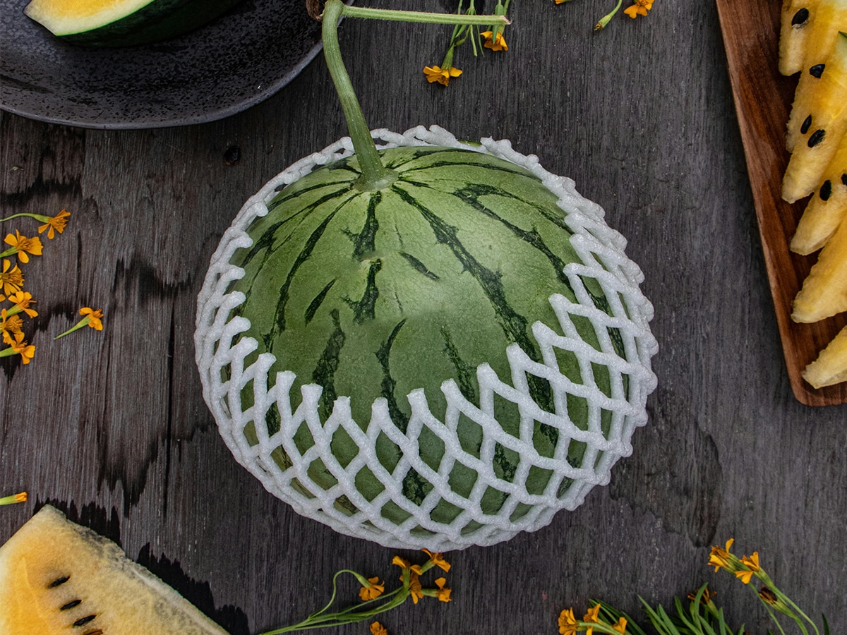 yellow watermelon versus red watermelon health benefits in hindi | पीला ...