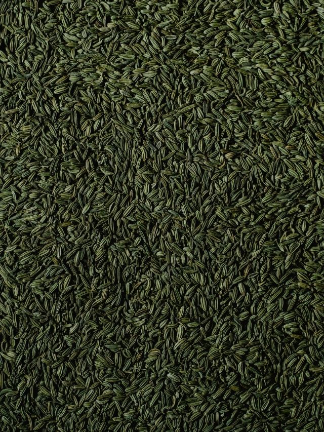Saunf Ka Sharbat benefits fennel and mint sherbet in summer | Saunf ...