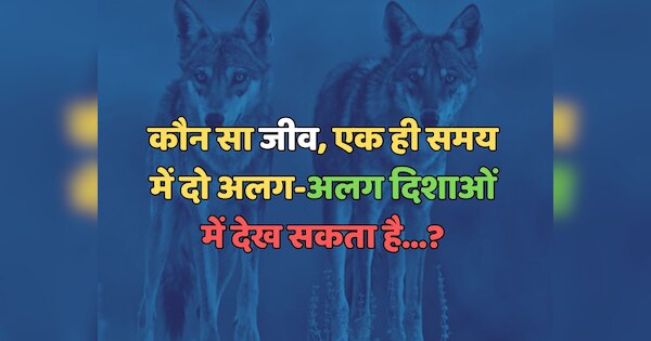 Trending Quiz कौन सा जीव एक ही समय में दो अलग अलग दिशाओं में देख