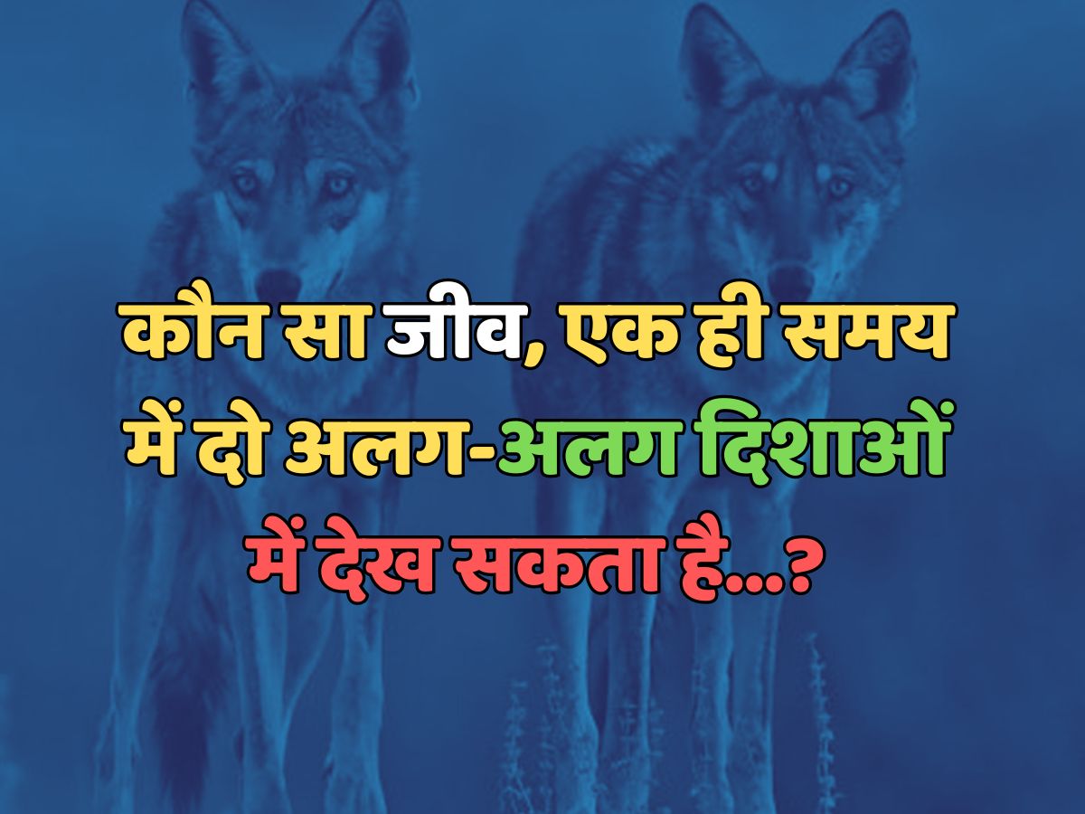 Trending Quiz कौन सा जीव एक ही समय में दो अलग अलग दिशाओं में देख
