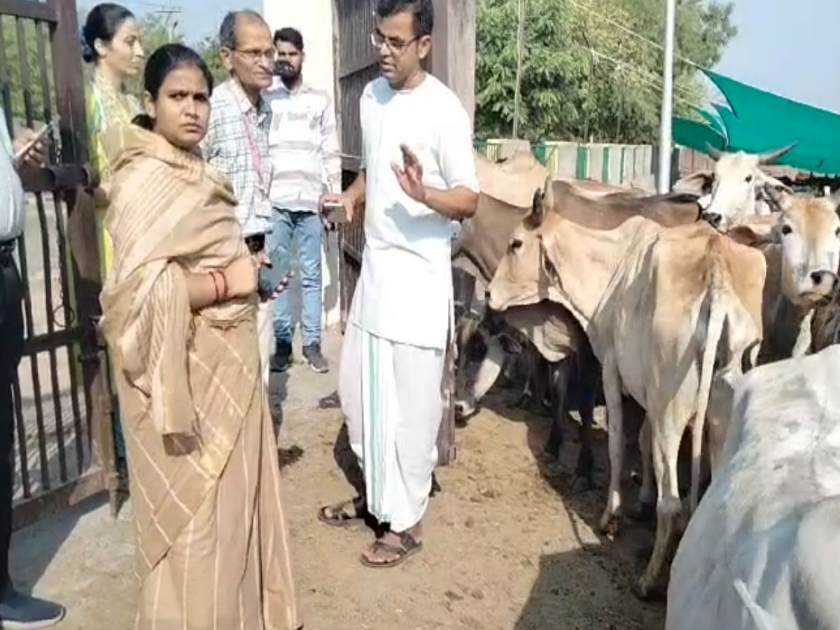 Jaipur Mayor Munesh Gurjar inspected Hingonia Gaushala lack of shade in ...