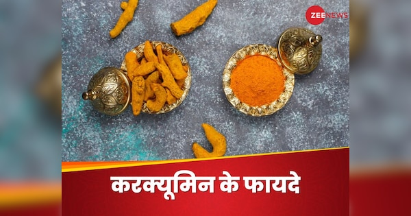 Why Curcumin Found In Turmeric is Good For Your Gut Health Know the ...