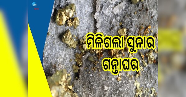 Gold Reserve: ଚକିତ କଲା ସର୍ଭେ, ଏହି ରାଜ୍ୟରେ ରହିଛି ସବୁଠାରୁ ଅଧିକ ସୁନାଖଣି ...