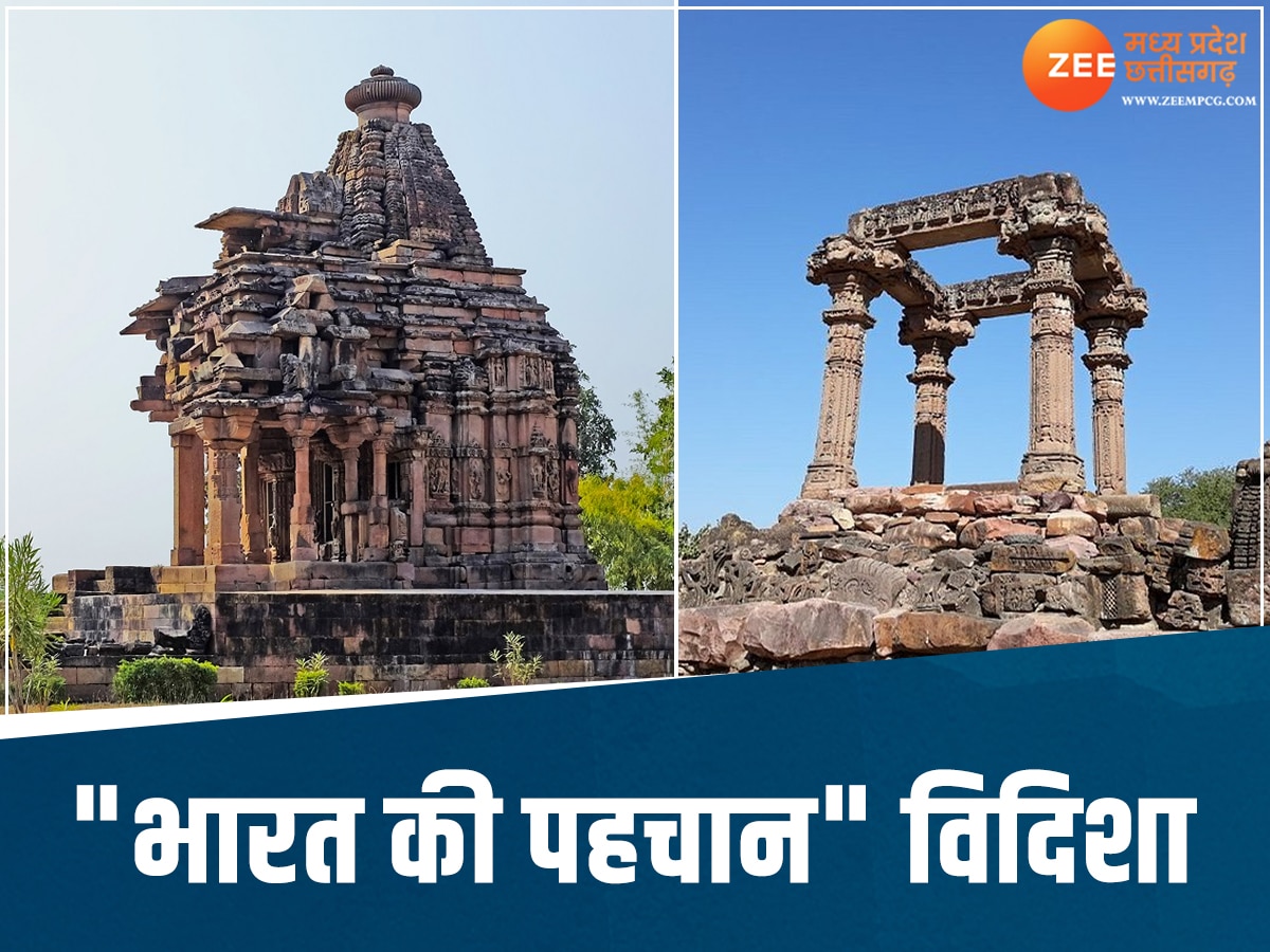 best 8 tourist places in vidisha for summers Udayagiri Caves Hindola ...