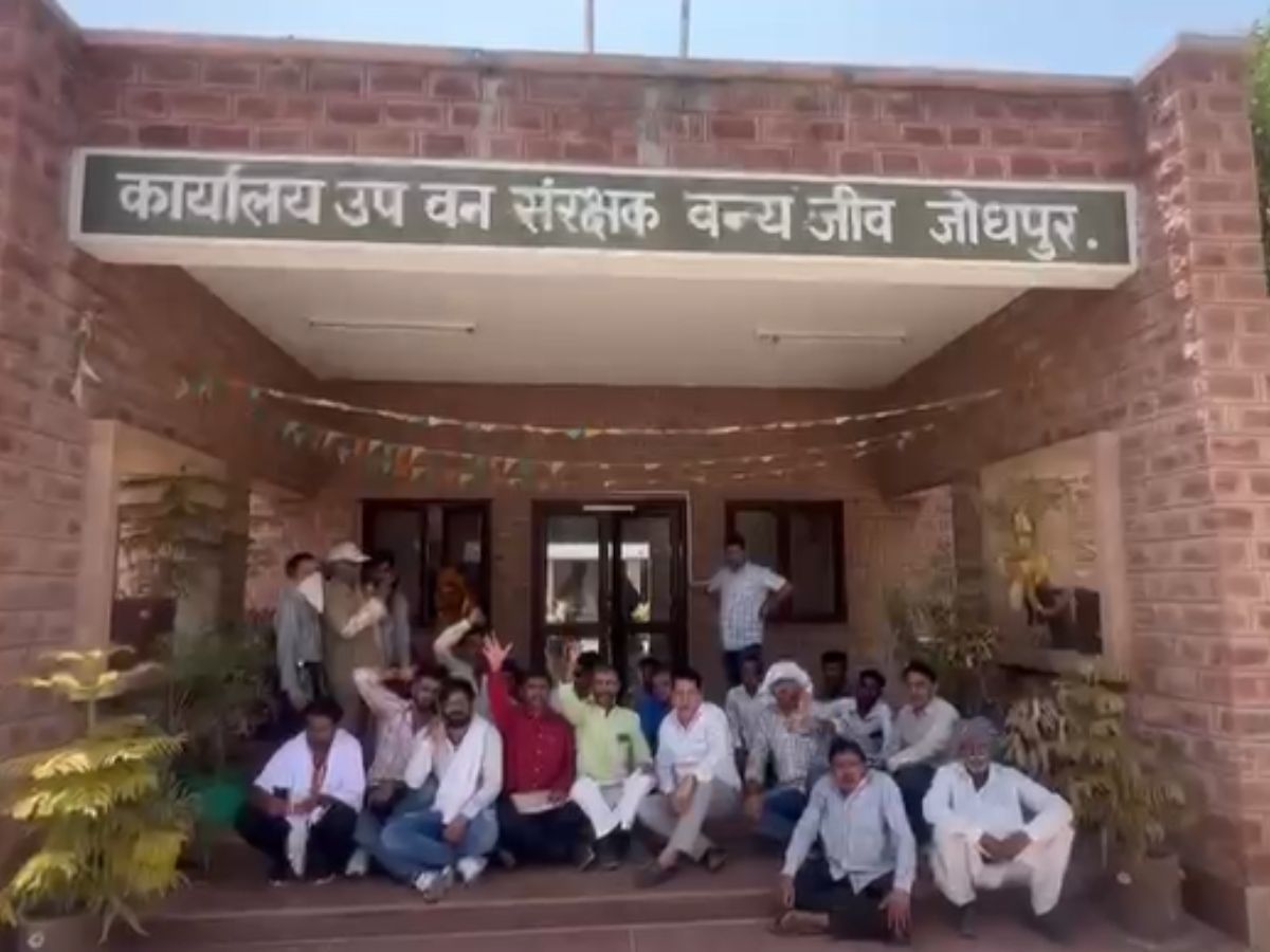 Jodhpur News Institutions protested against death of 13 black deer in ...