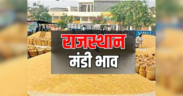 Kota mandi price change in prices of wheat Millet and urad in rajasthan ...