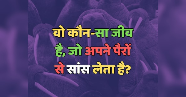 Trending Quiz वो कौन सा जीव है जो अपने पैरों से सांस लेता है