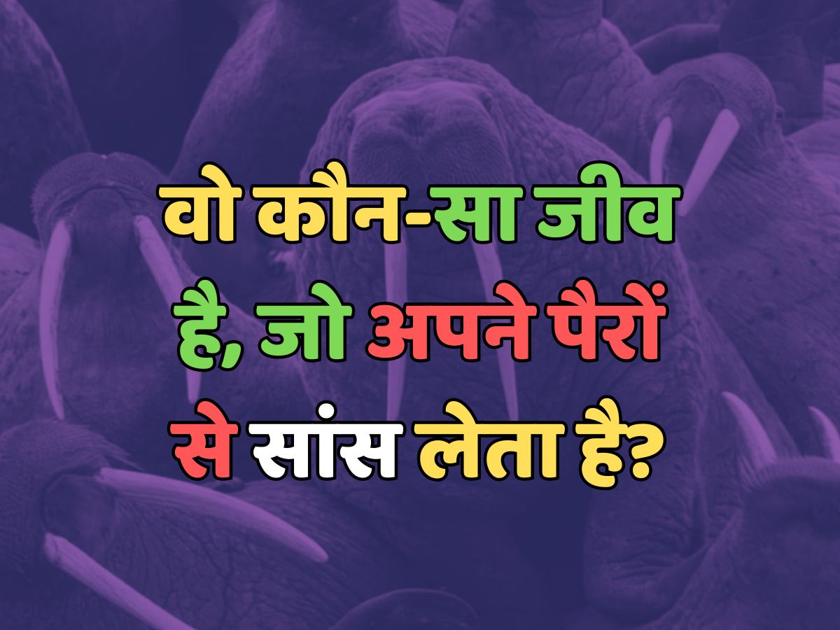 Trending Quiz वो कौन सा जीव है जो अपने पैरों से सांस लेता है