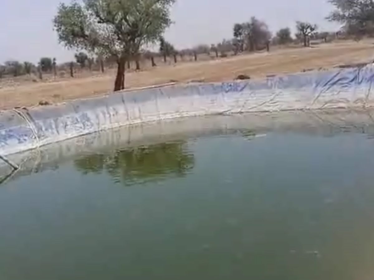 Rajasthan Crime News Mother daughter and son died due to drowning in ...