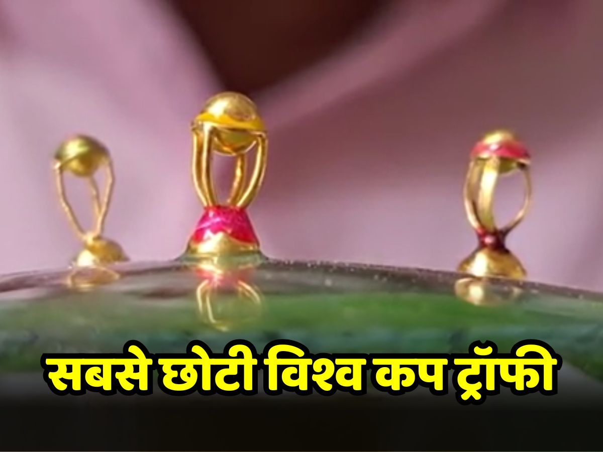 Udaipur craftsman made smallest gold T 20 World Cup trophy watch video ...