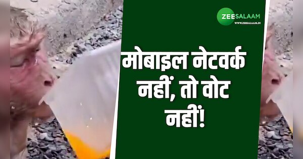 viral video of monkey fell from tree due to heat