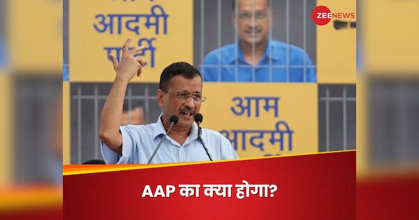 Lok Sabha Chunav Results 2024: A Wake Up Call For AAP In Delhi, With ...