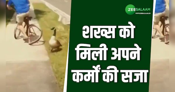 viral video man got punishment for his actions bicycle broke while ...