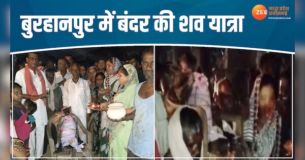 Burhanpur news villagers carried out a funeral procession of a monkey ...