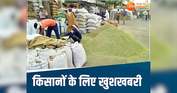 MP के किसानों के लिए काम की खबर, मूंग और उड़द की फसल पर आई खुशखबरी ...