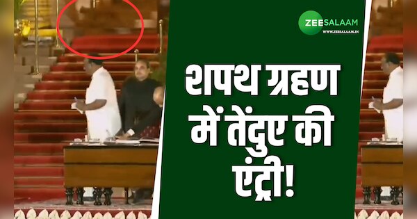 Leopard in Rashtrapati Bhavan during pm modi Oath Ceromany | Video ...