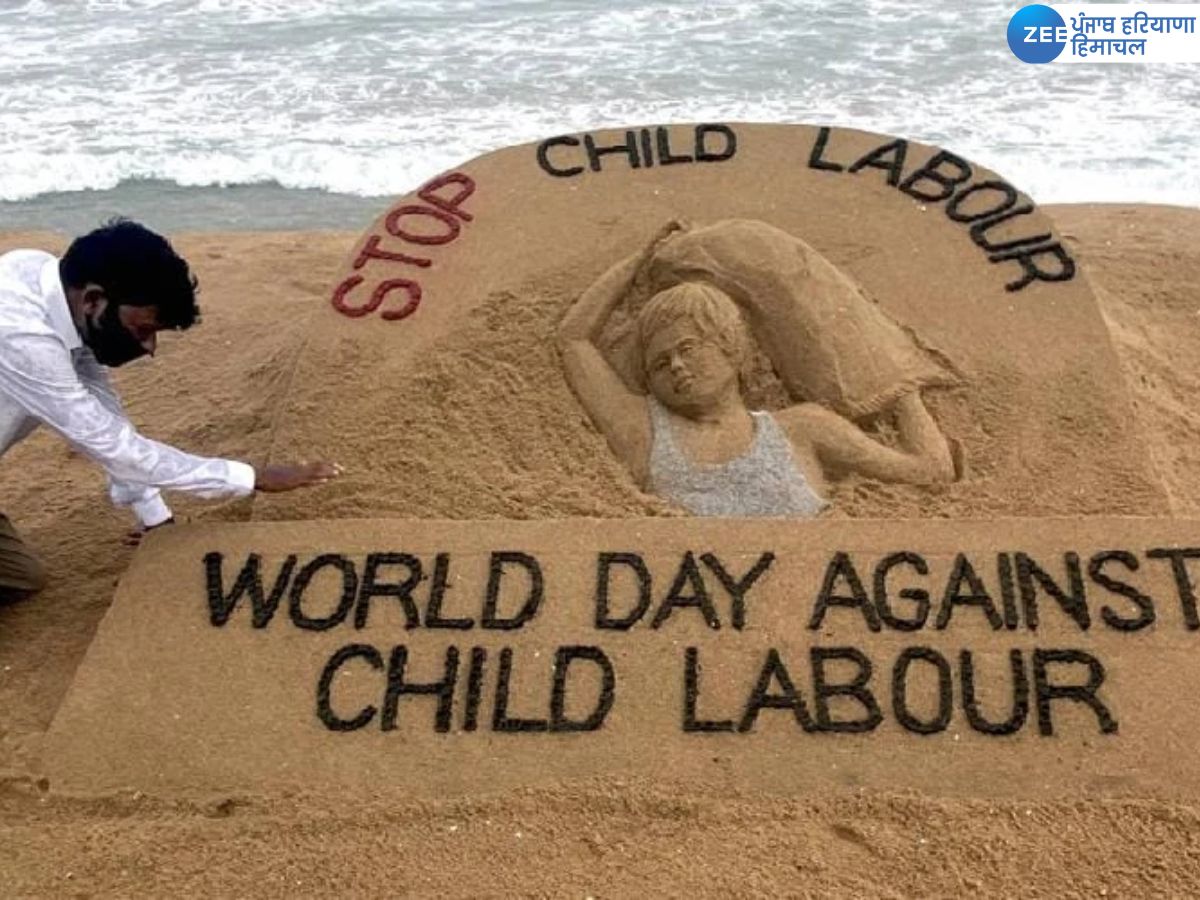 World Day Against Child Labour 2024 follow these tips to end child ...