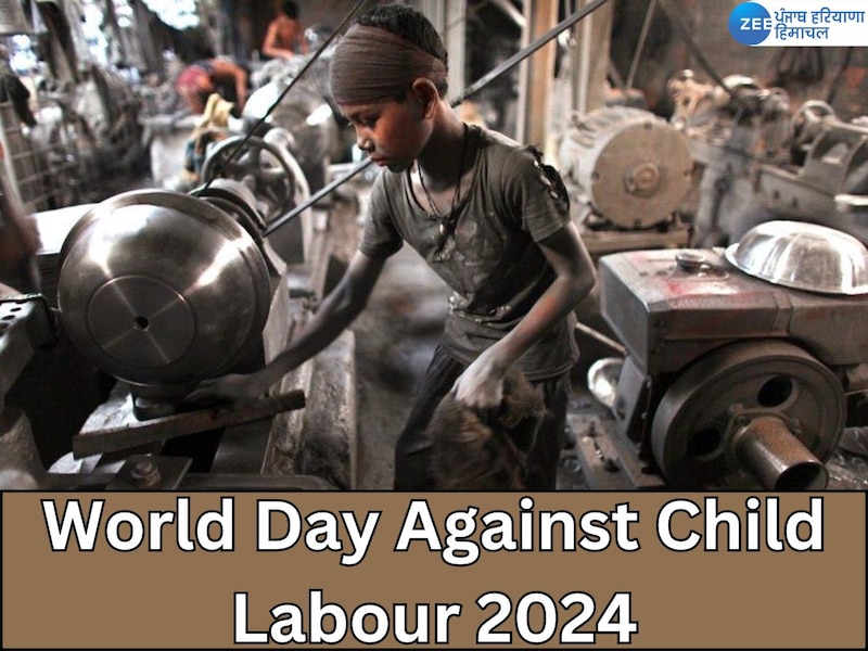 World Day Against Child Labour 2024 follow these tips to end child ...