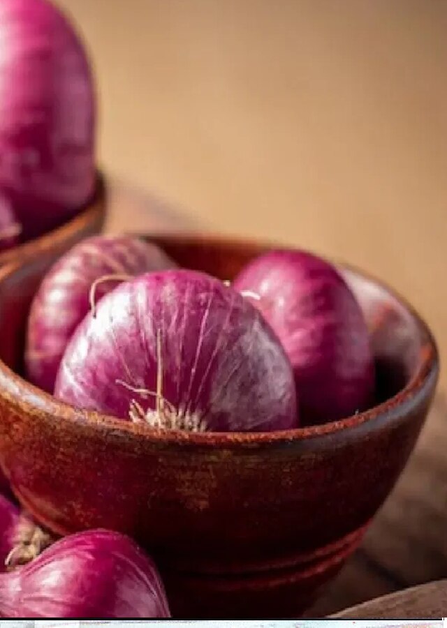 Onion Price Hike before bakrid Curry Without Onion Recipe pyaz ke bina ...