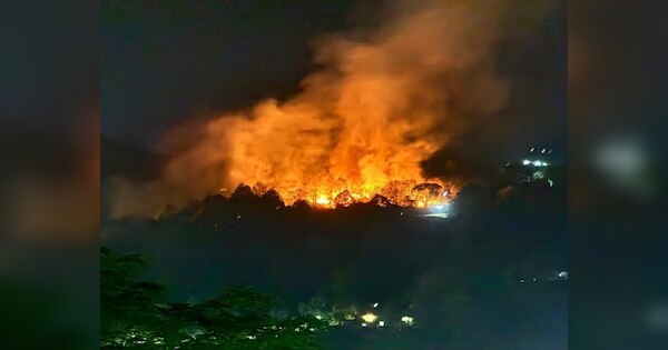 Almora 4 forest department employees burnt alive died due to vehicle ...