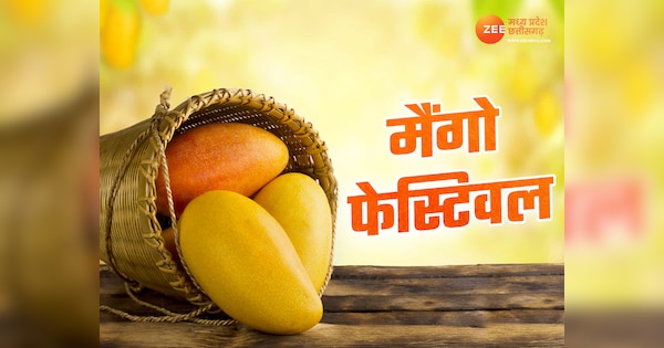 Mango Festival: आम के शौकीन हैं तो पहुंच जाइए भोपाल, मैंगो फेस्टिवल में ...