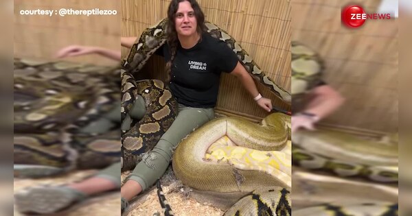 Women Sitting with 20 feet python in her lap video gone viral on social ...