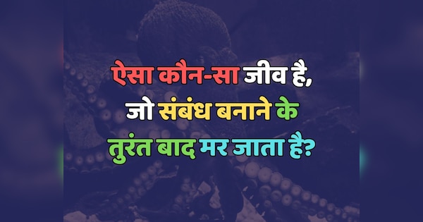 Trending Quiz ऐसा कौन सा जीव है जो संबंध बनाने के तुरंत बाद मर जाता