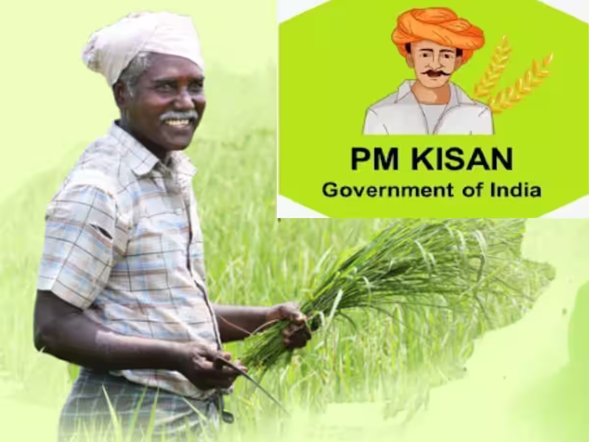 Pm Modi Will Release 17th Installment Of PM-Kisan Samman Nidhi Today Eligibility Payment Status ...