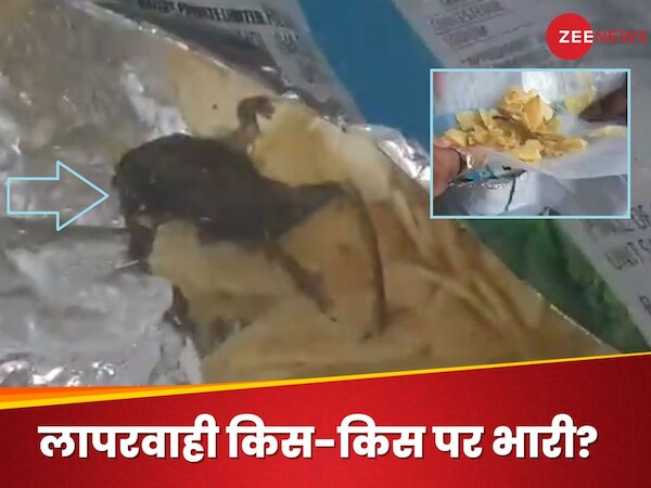 dead frog found in packet of potato chips gujarat news | आइसक्रीम में ...