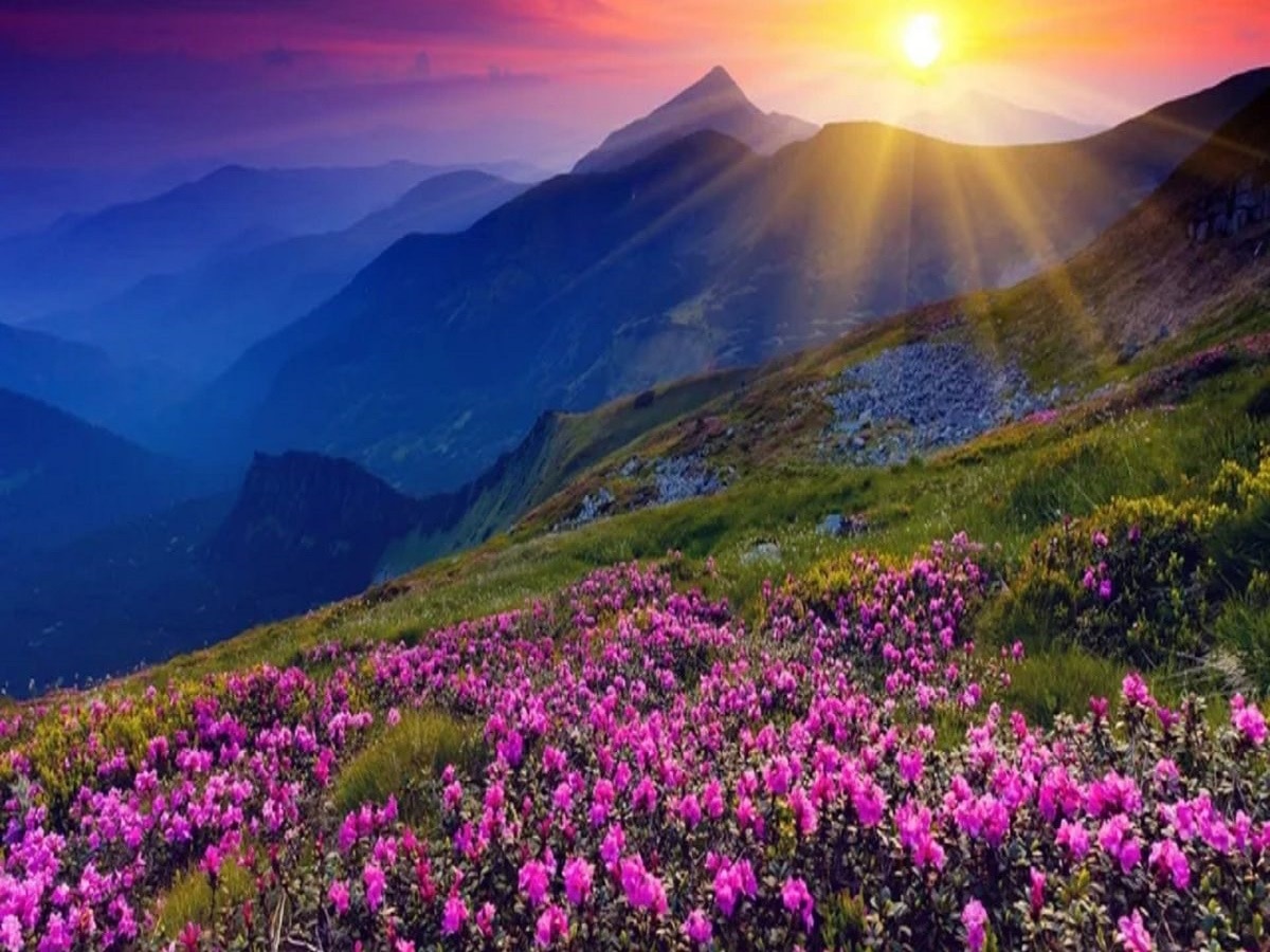 popular tourist places to visit in uttarakhand auli rishikesh valley of ...