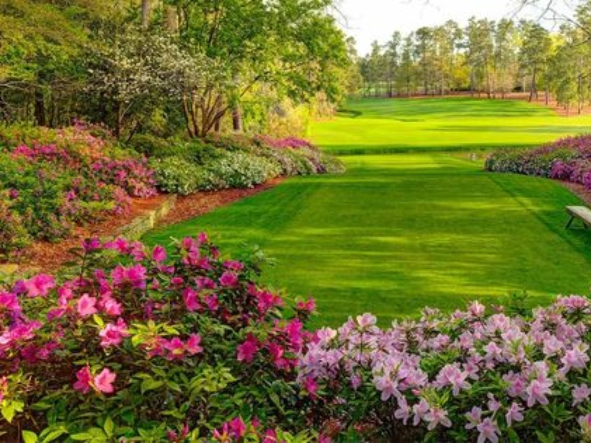 explore Ranikhet Uttarakhand tourist attractions and natural beauty ...