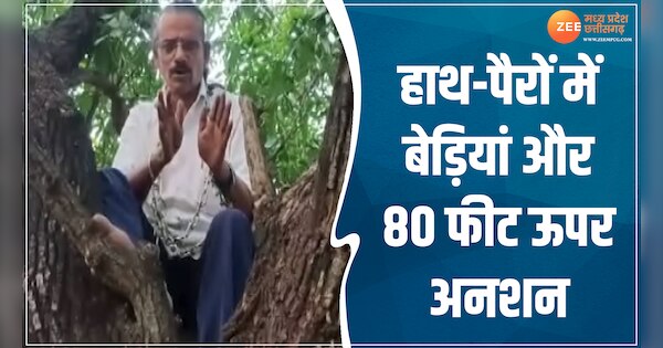 social worker started a hunger strike on an 80 feet high tree In Rewa ...