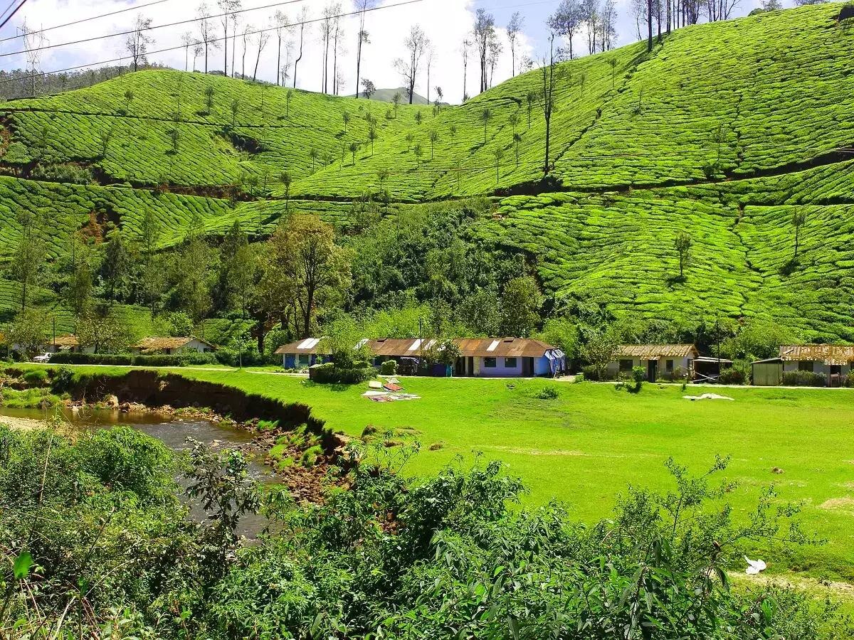 [best 5 places to visit in india with family including ooty and munaar ...