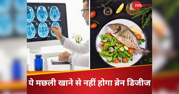 5 best fish for brain health according to neuroscientists | ये 5 ...